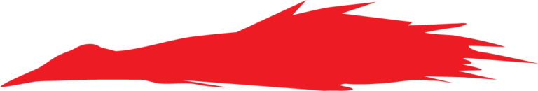 More Batter | Singapore's Best Korean Fried Chicken Delivery | More ...